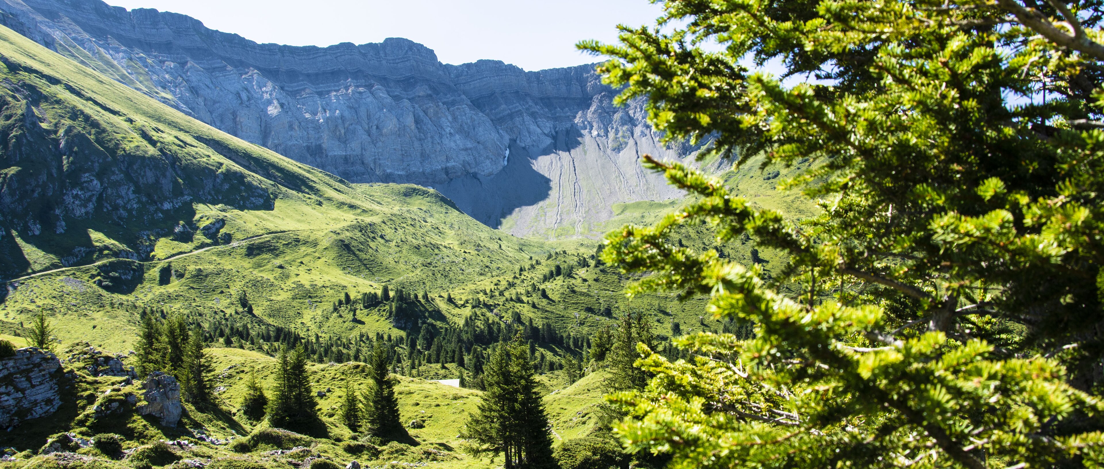 Elsigen-Metsch | Adelboden-Lenk | Adelboden-Lenk