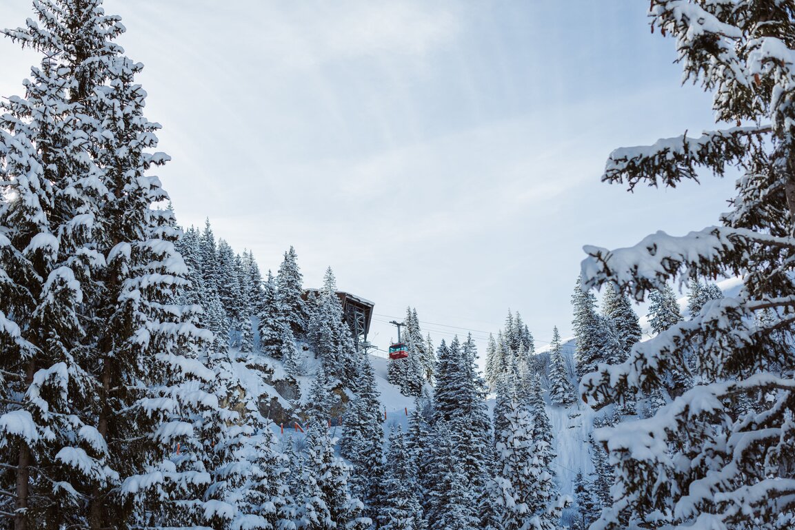 Elsigen-Metsch | Adelboden-Lenk ski region | Adelboden-Lenk