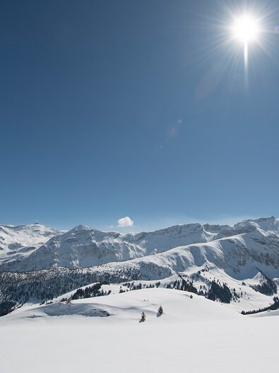 Elsigen-Metsch | Adelboden-Lenk ski region | Adelboden-Lenk